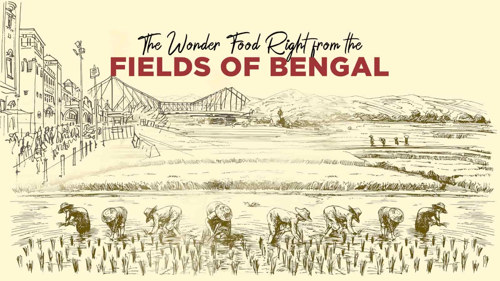 The Wonder Food right from the fields of Bengal - Pragati Rice